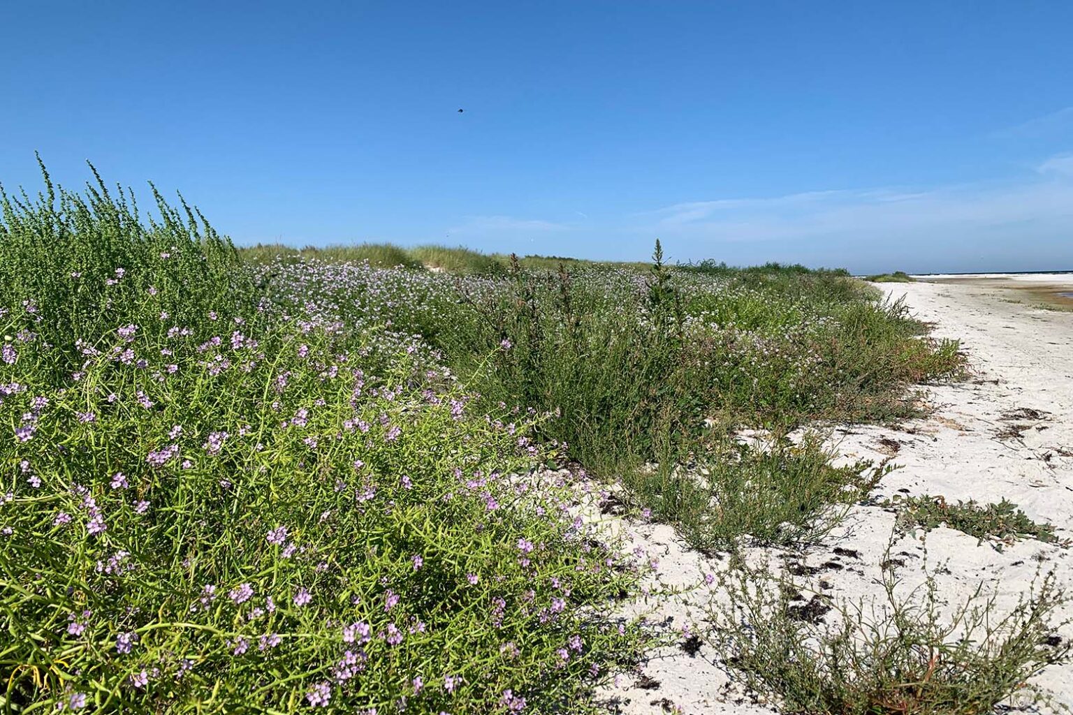 Bornholm-Tipps: 12 Lieblingsorte auf der dänischen Insel